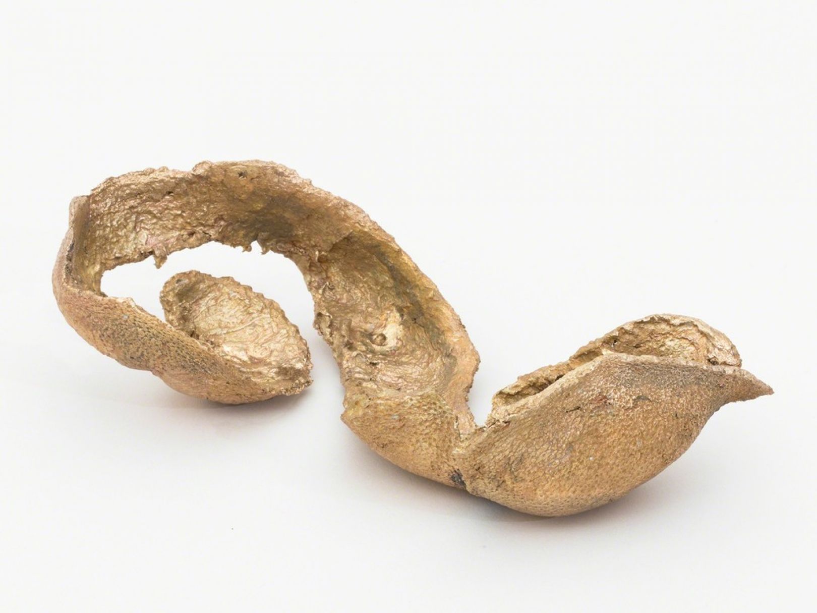 Eric Timothy Carlson