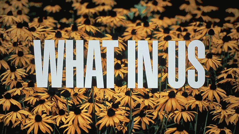 Eric Timothy Carlson